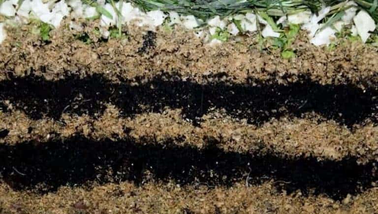 Vermicomposting In Your Home - Ecoponics Singapore