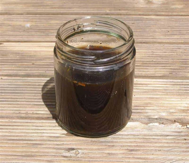 Vermicomposting In Your Home - Ecoponics Singapore