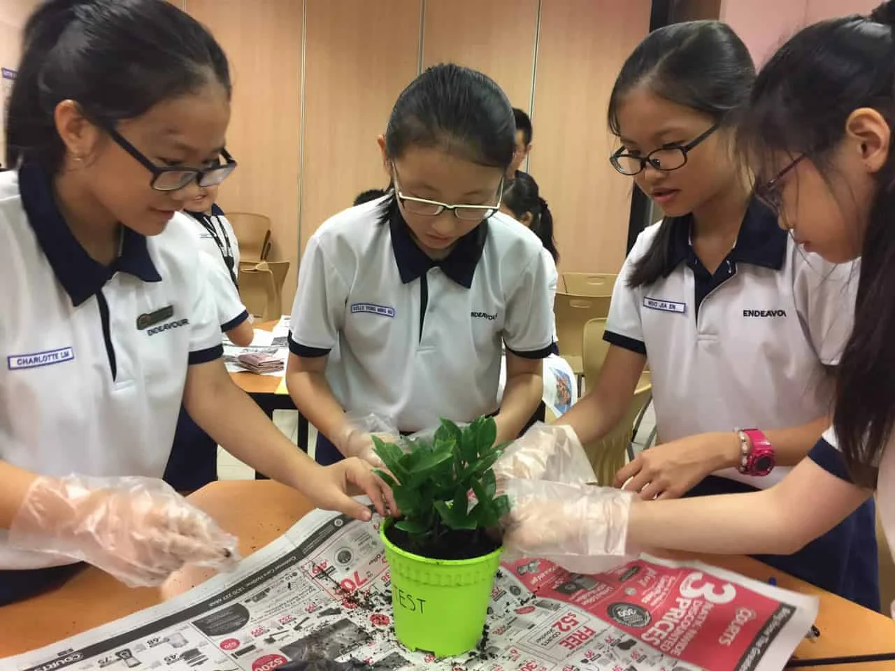 Science Environment Workshops For Students In Singapore