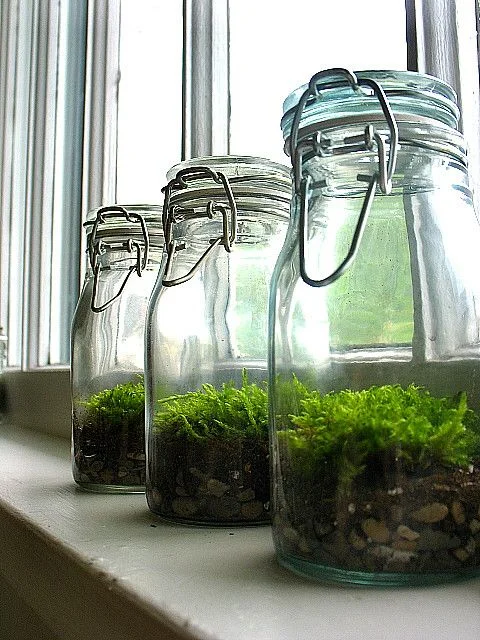 Blog | Ecoponics Singapore