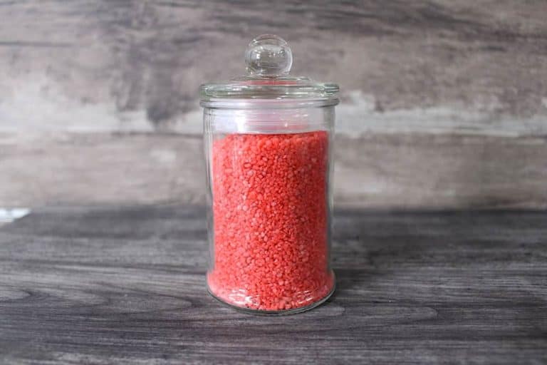 Key Layers In A Terrarium & Their Functions Explained