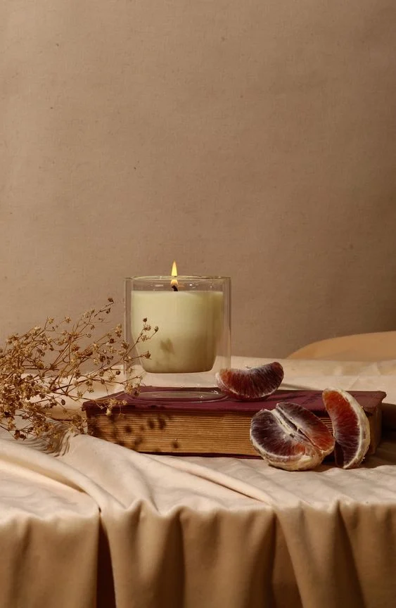 Team Building Workshops In Singapore-Ecoponics Workshops