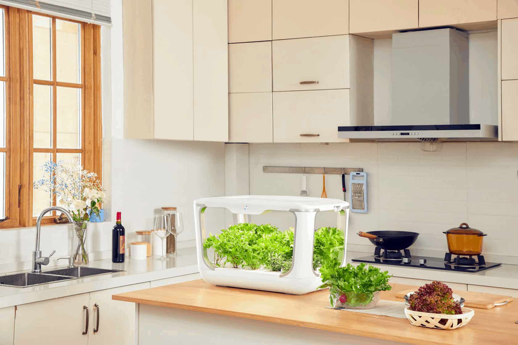 GrowMe Hydroponics Kit By IndoorGreens - Ecoponics Singapore