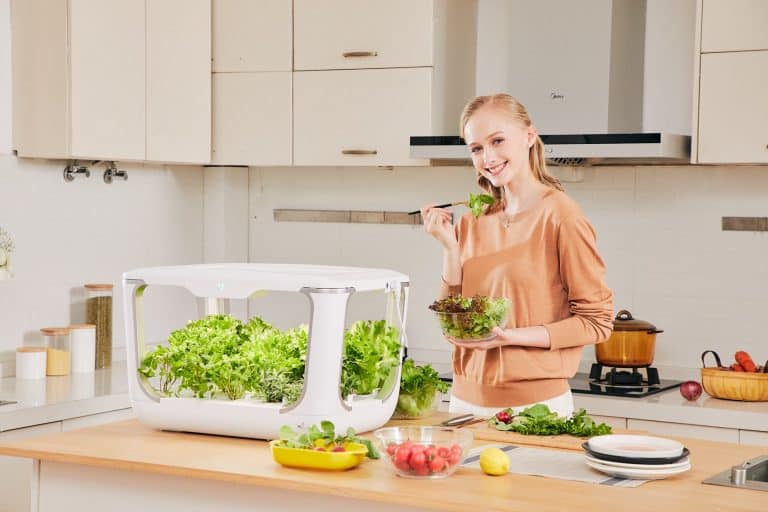 Hydroponics Kits - Ecoponics Singapore