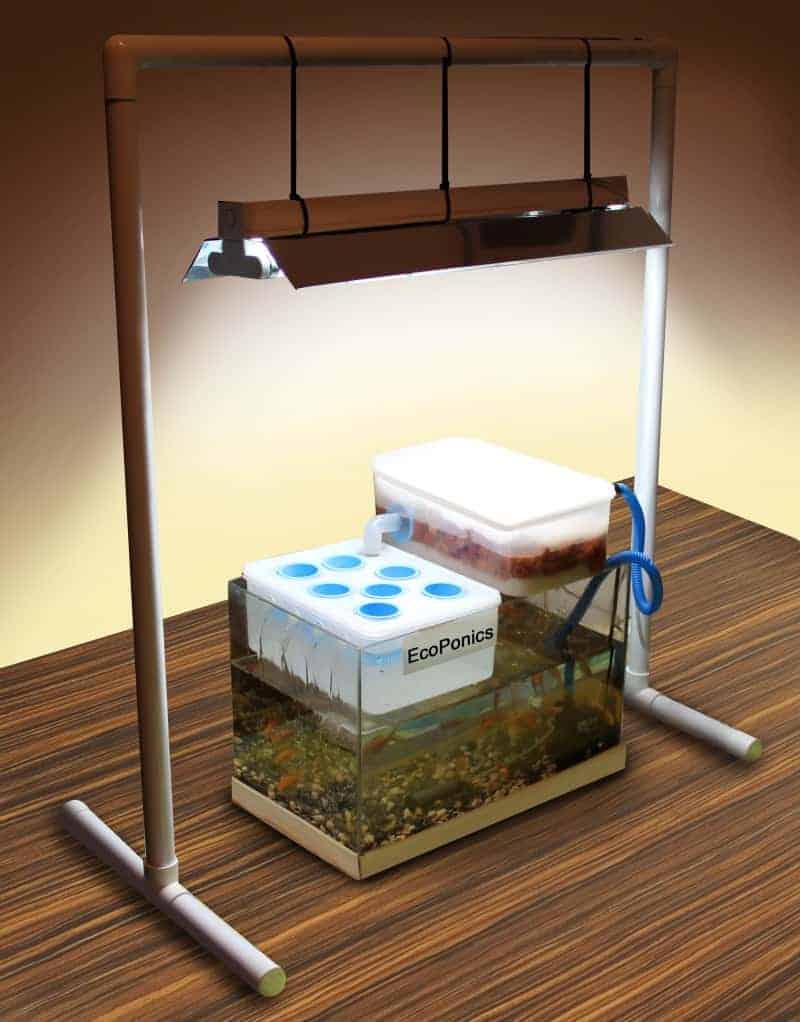 EcoEd™ Aquaponics Educational System - Ecoponics Singapore