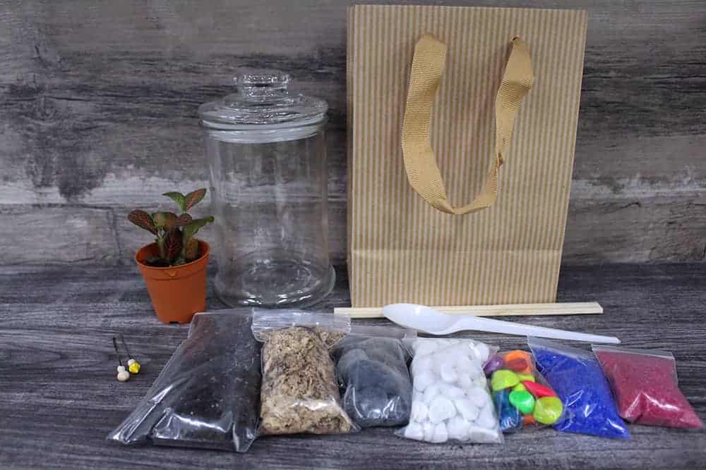 Premium Terrarium DIY Kit - Ecoponics Singapore
