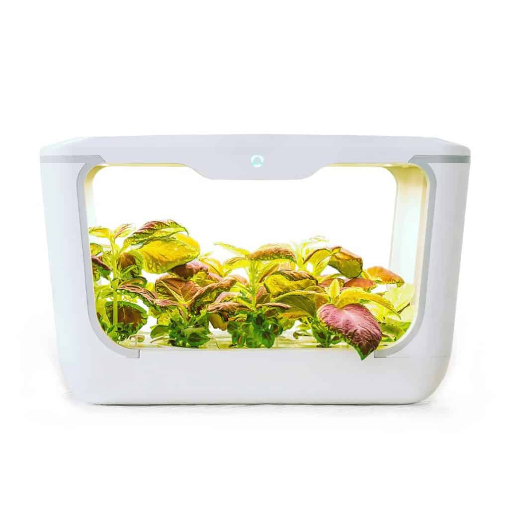 Hydroponics Kits - Ecoponics Singapore