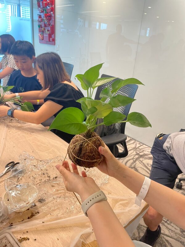 Kokedama Workshop In Singapore - Ecoponics