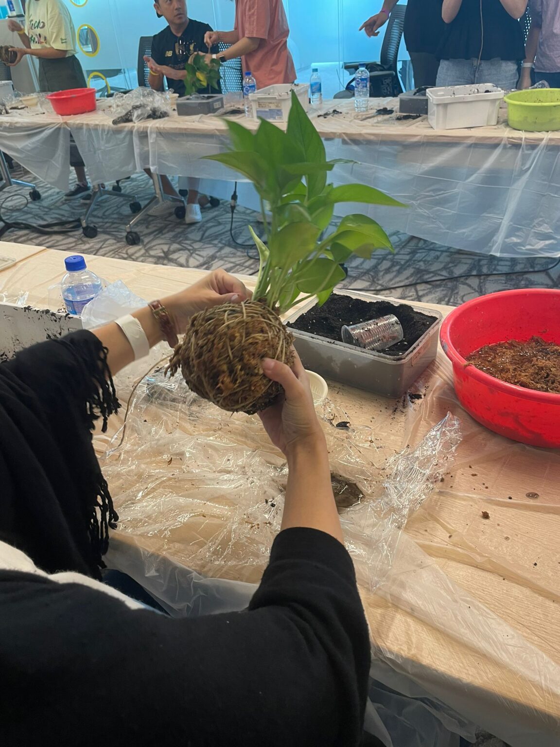 Kokedama Workshop In Singapore - Ecoponics