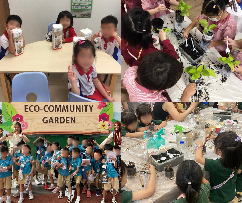 Kindergarten Workshops In Singapore - Ecoponics Singapore
