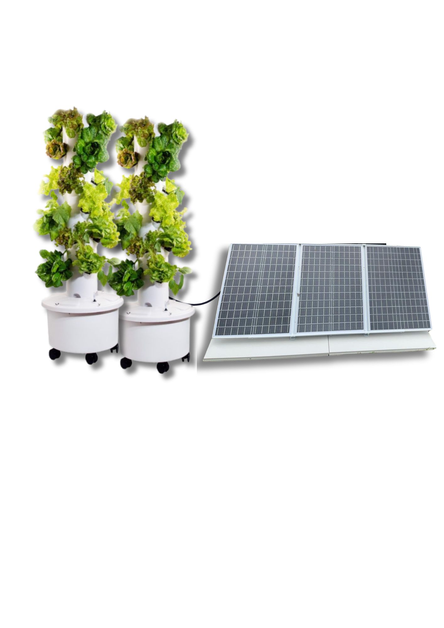 Solar Panel Hydroponics
