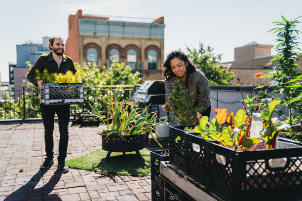 Urban Farming Techniques That Turn Small Spaces Into Green Havens ...